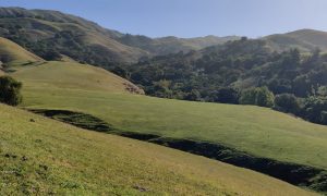 How to Build/Run Android Cuttlefish Emulator on PC/ARM64 – Jun Sun's ...